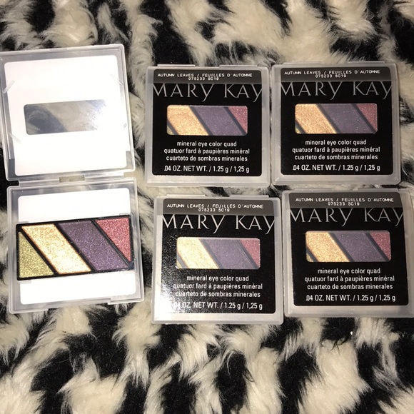 Mary Kay | Makeup | Mary Kay Mineral Eye Color Quad Autumn Leaves New ...